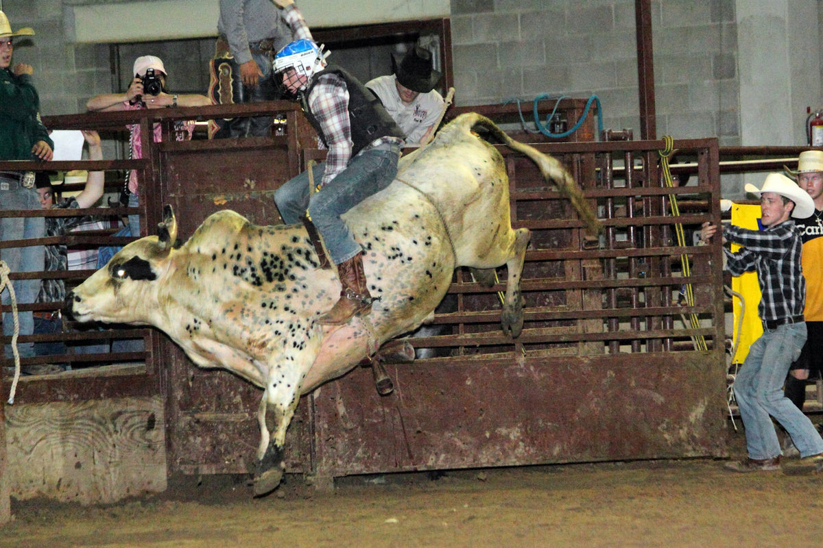 The Importance of Challenging Yourself - The On A Limb Way – On A Limb ...